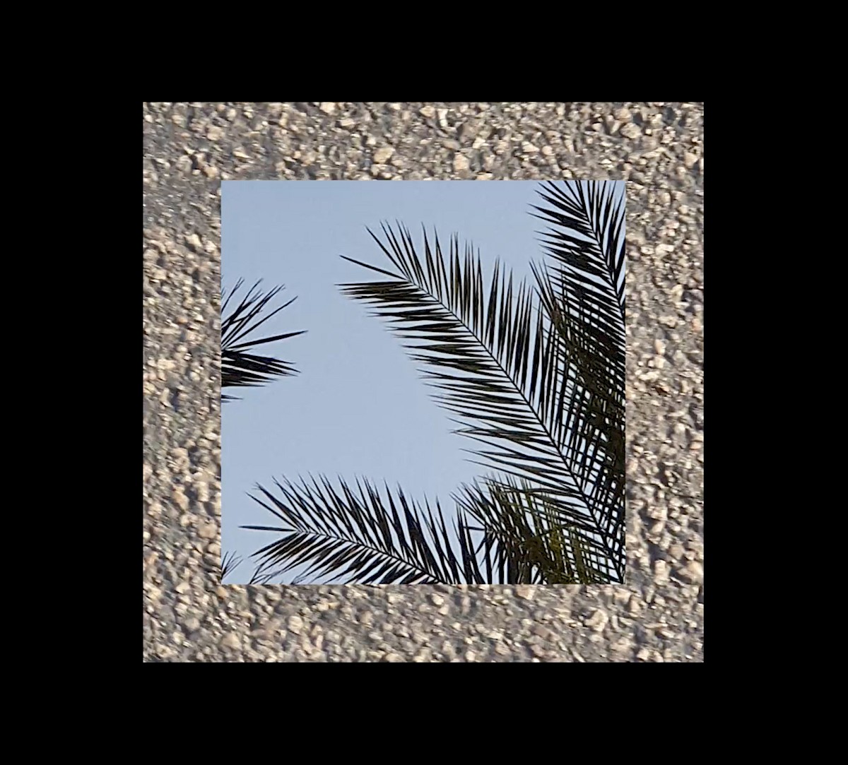 Not All Things That Shine Are Beautiful — Collectif Jeune Cinéma